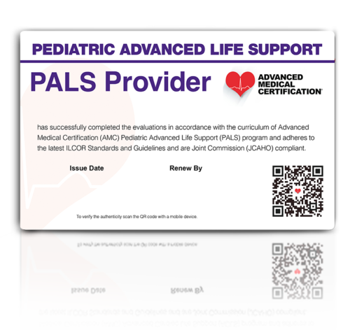 Timed PALS Megacodes - Unique Scenario Simulations