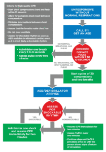 Adult BLS Algorithm - ACLS Online Handbook