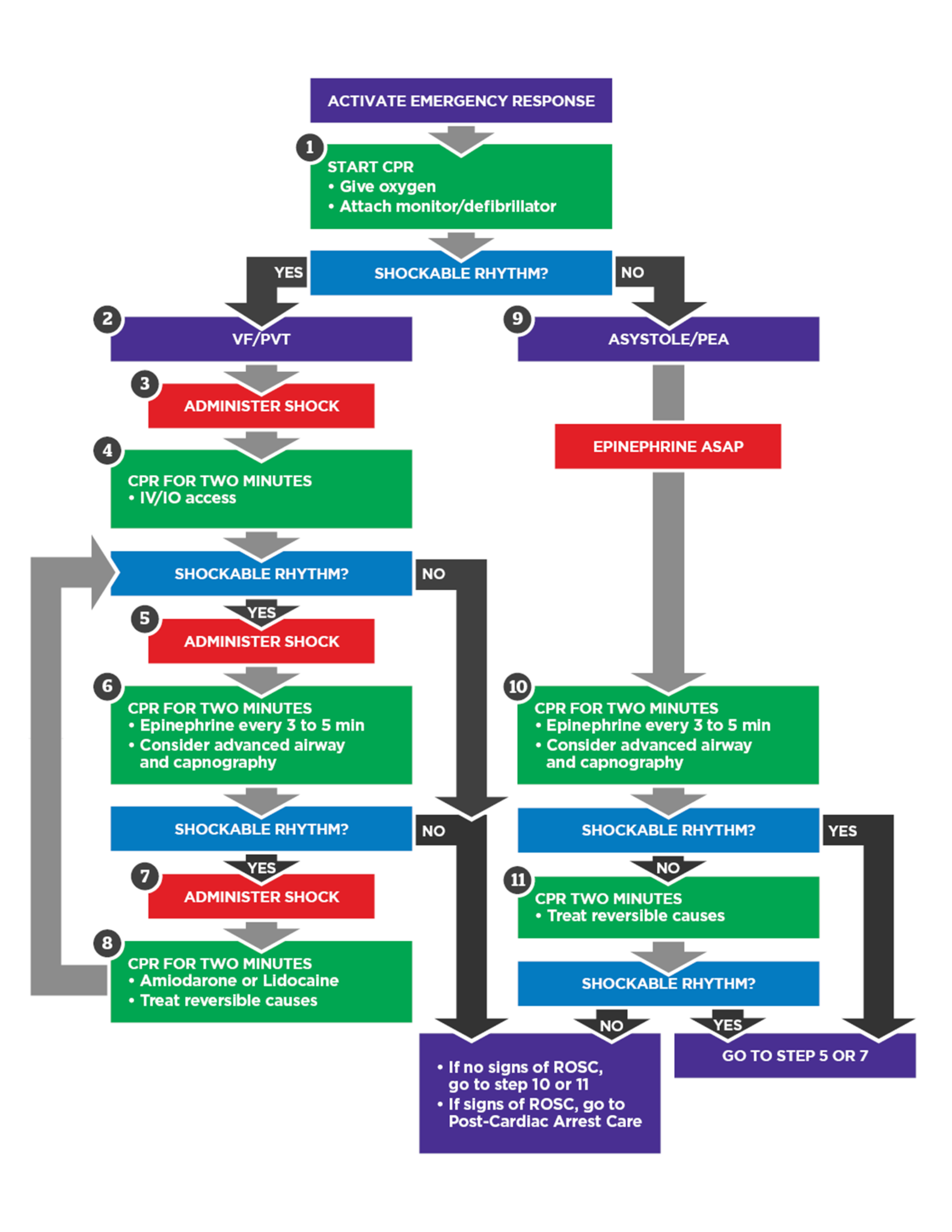 Adult Cardiac Arrest Management Algorithm - ACLS Online Handbook
