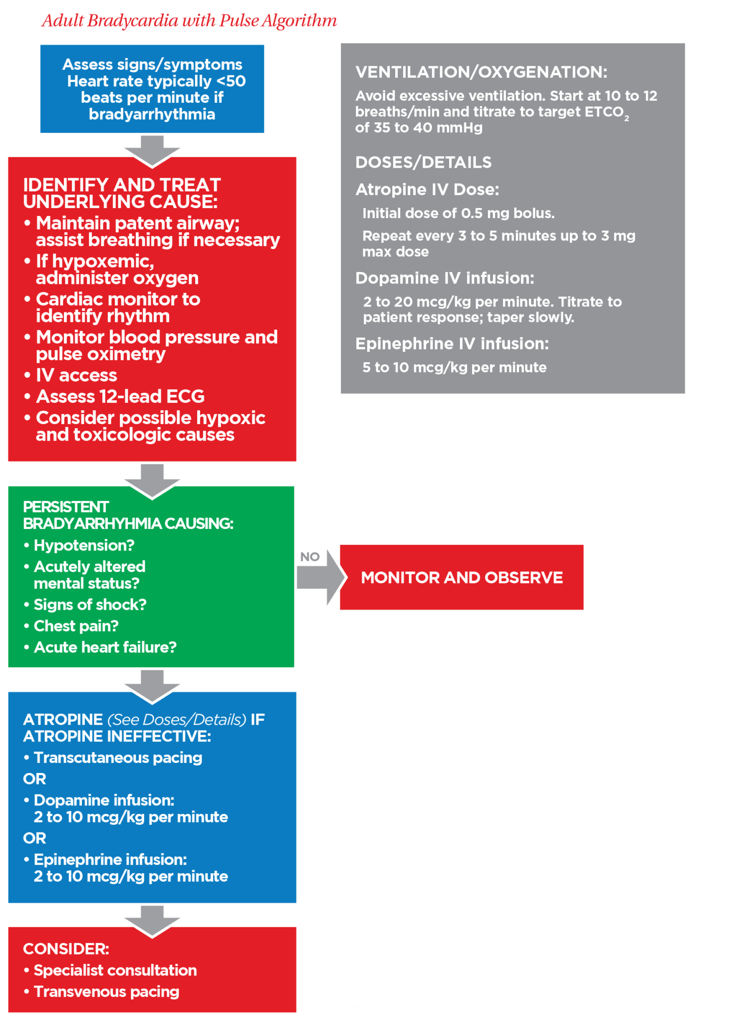 Adult Bradycardia With Pulse Management Algorithm - ACLS Handbook