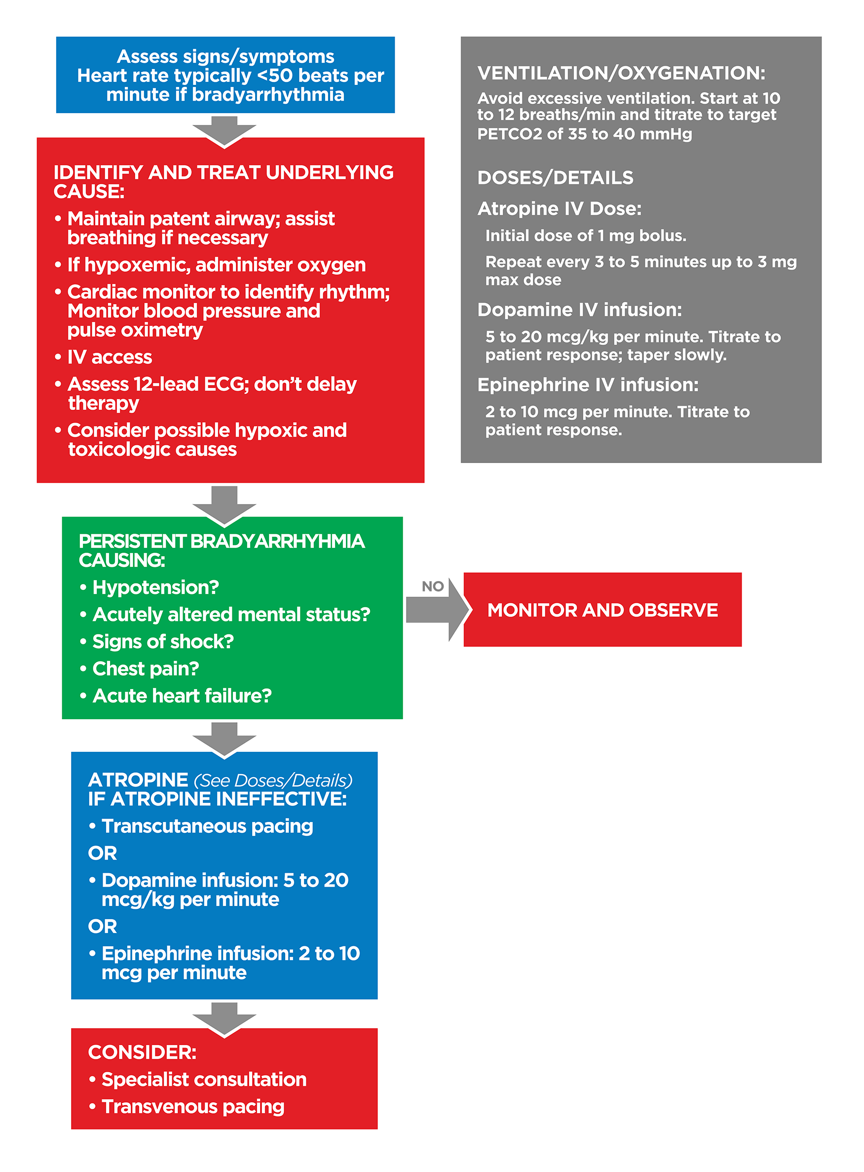 Adult Bradycardia With Pulse Management Algorithm - ACLS Handbook Adult Bradycardia With Pulse Management Algorithm - ACLS Handbook