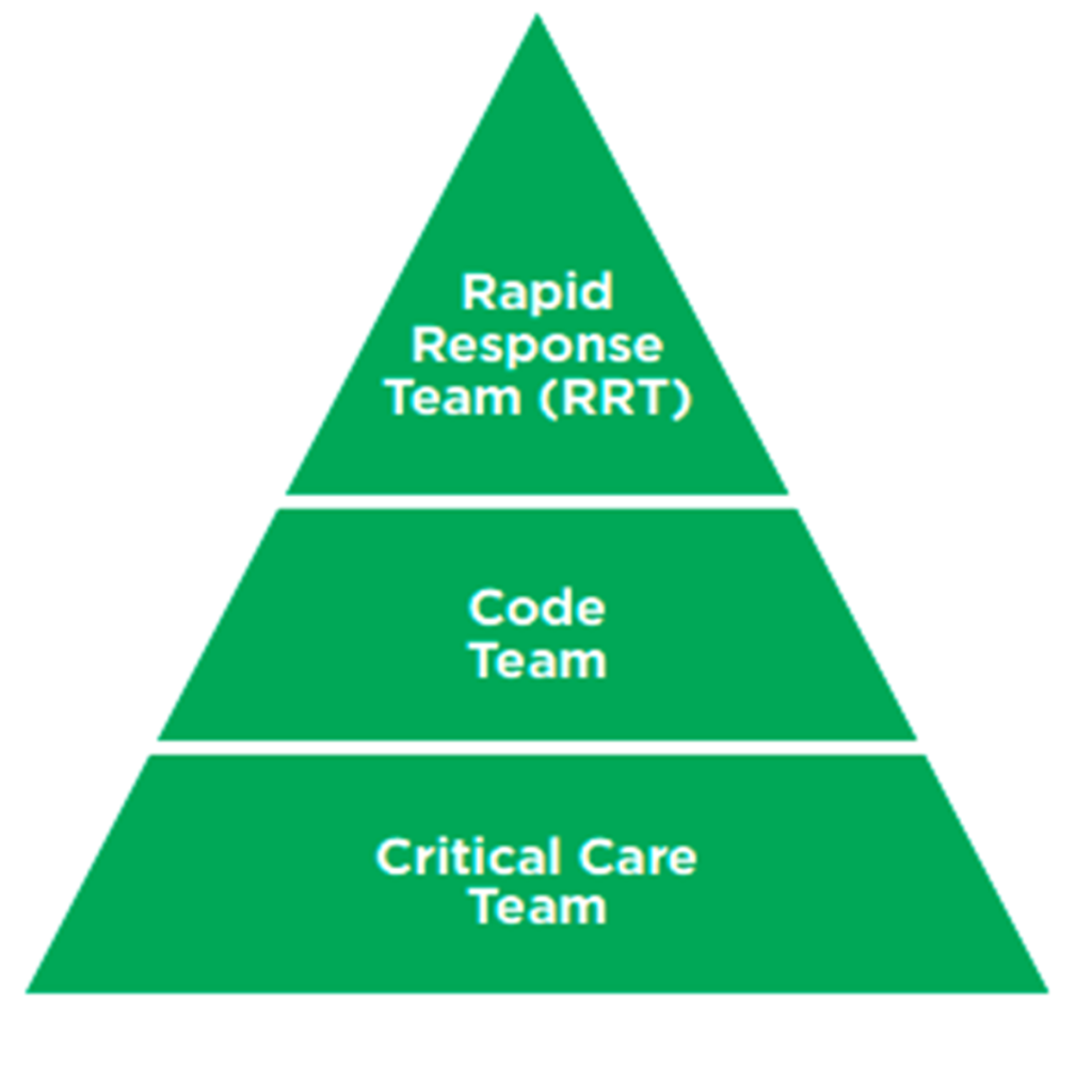 Medical Emergency Team - ACLS Online Handbook